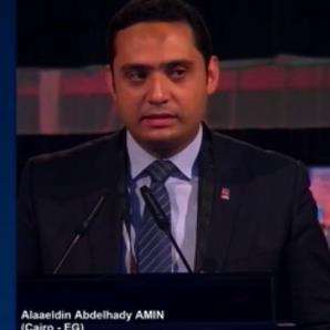 Doctor Alaa Eldin Abdel Hadi Amin - Cairo Lecturer Cardiology and Vascular Disease | Aldoctorz